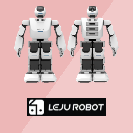 LEJU ROBOT – REES52