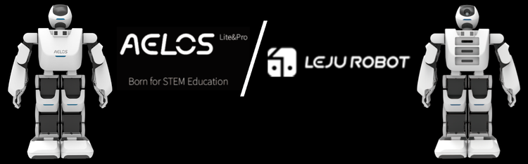 LEJU ROBOT – REES52