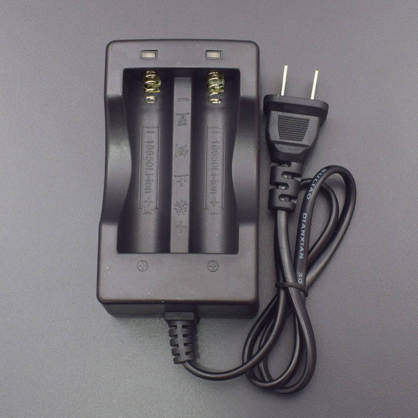 New 100-240 Volt AC Smart Charger for Two 18650 – REES52